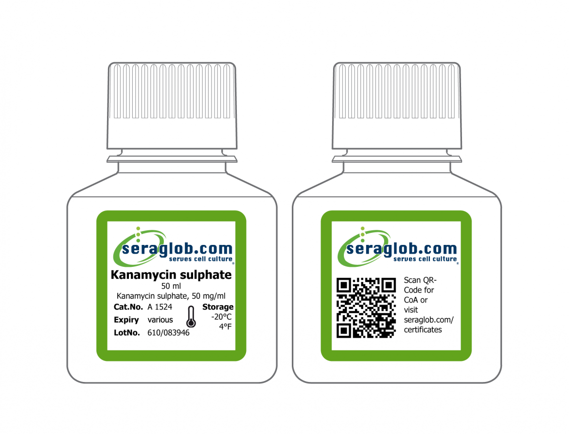 Kanamycin sulphate, 50 mg/ml, 50 ml | Bioswisstec